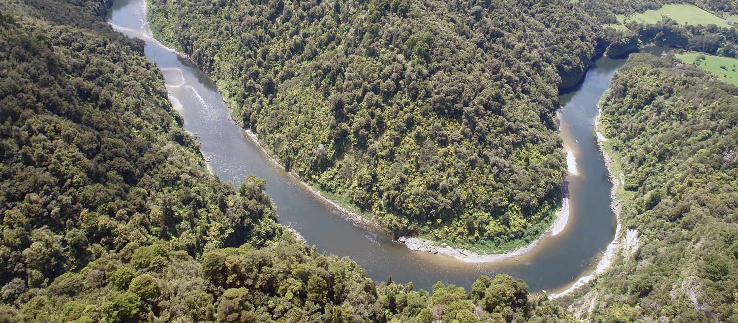 The Art of Environmental Personhood and the Possibility of ...